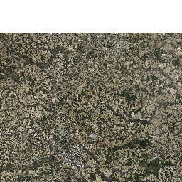ArcGIS Web Application
